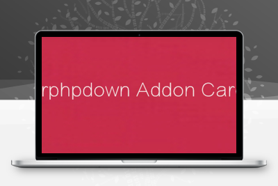 erphpdown addon vipcard VIP充值卡（VIP激活码） wordpress插件绿色版_二层楼源码网
